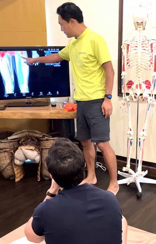 Functional Anatomy & Clinical Palpation Course for Therapist